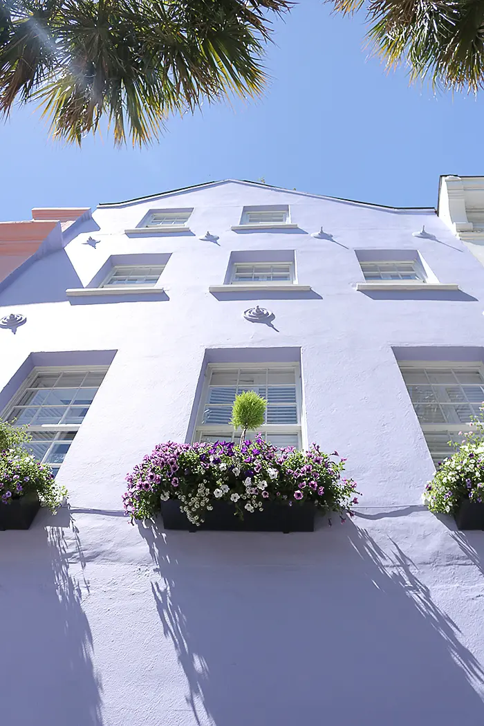 charleston-historic-purple-house-window-box - Darling Darleen | A ...
