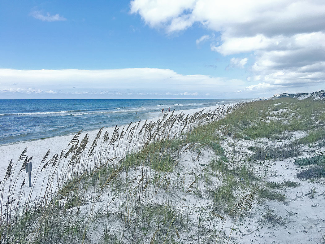 The Ultimate Guide to 30A Florida - Darling Darleen | A Lifestyle ...