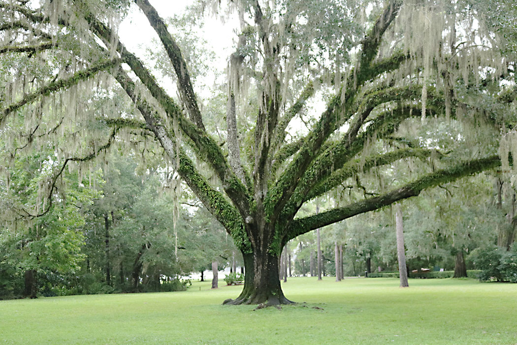 30A Florida - Darling Darleen | A Lifestyle Design Blog
