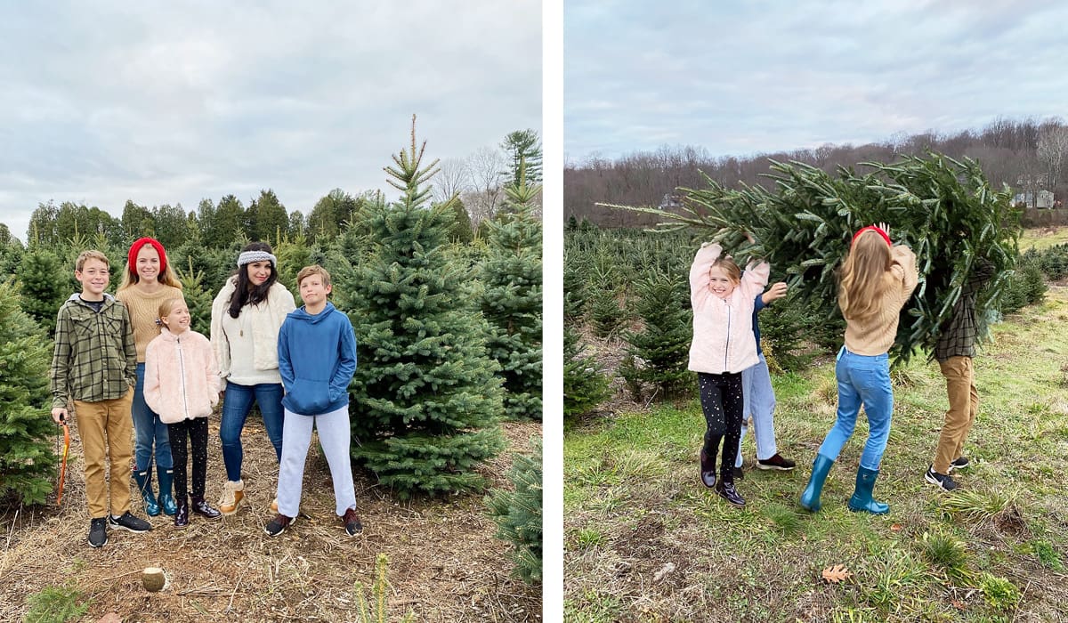 Christmas Tree Farm - Darling Darleen | A Lifestyle Design Blog