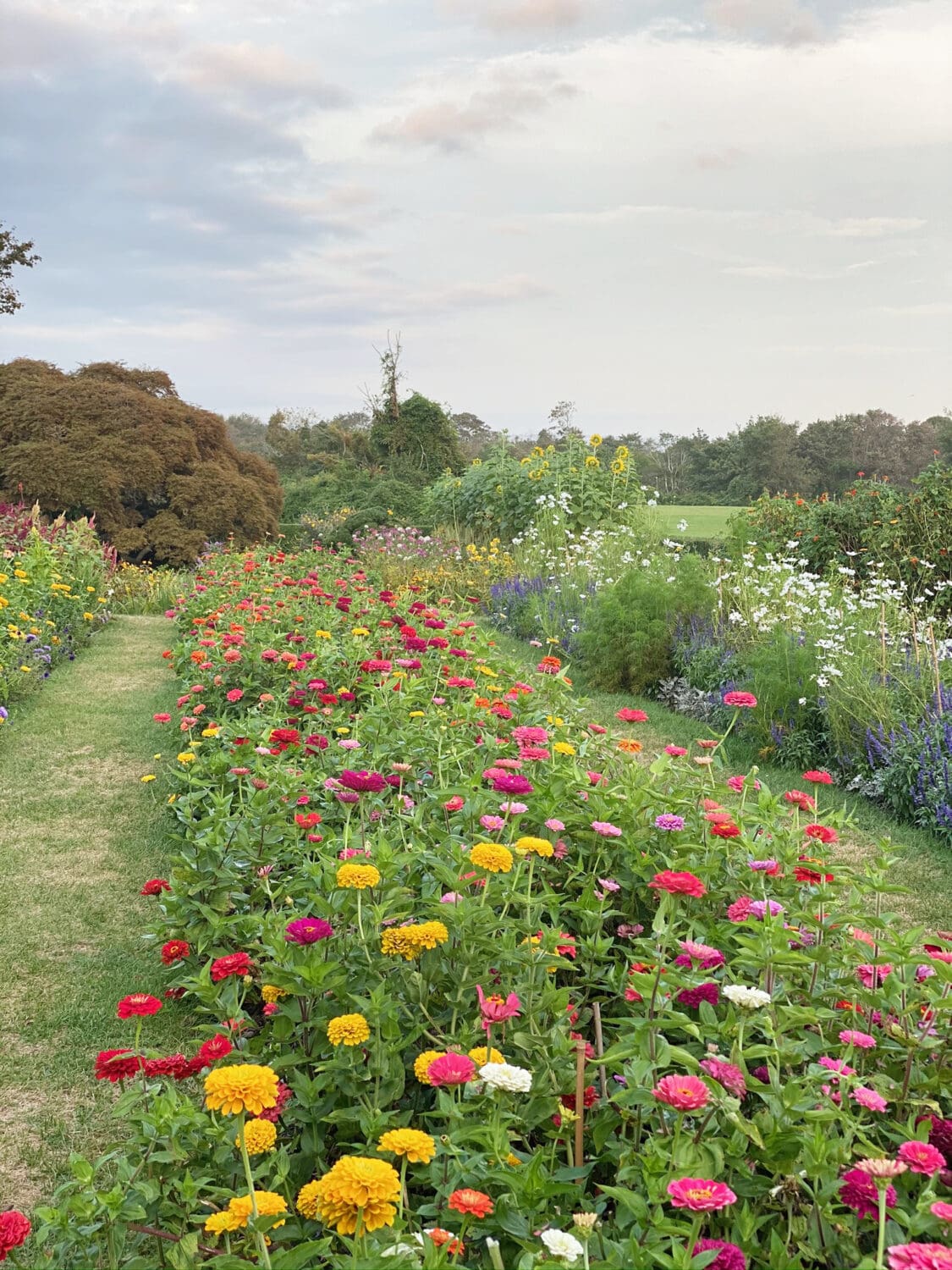 Connecticut Flower Fields - Darling Darleen | A Lifestyle Design Blog